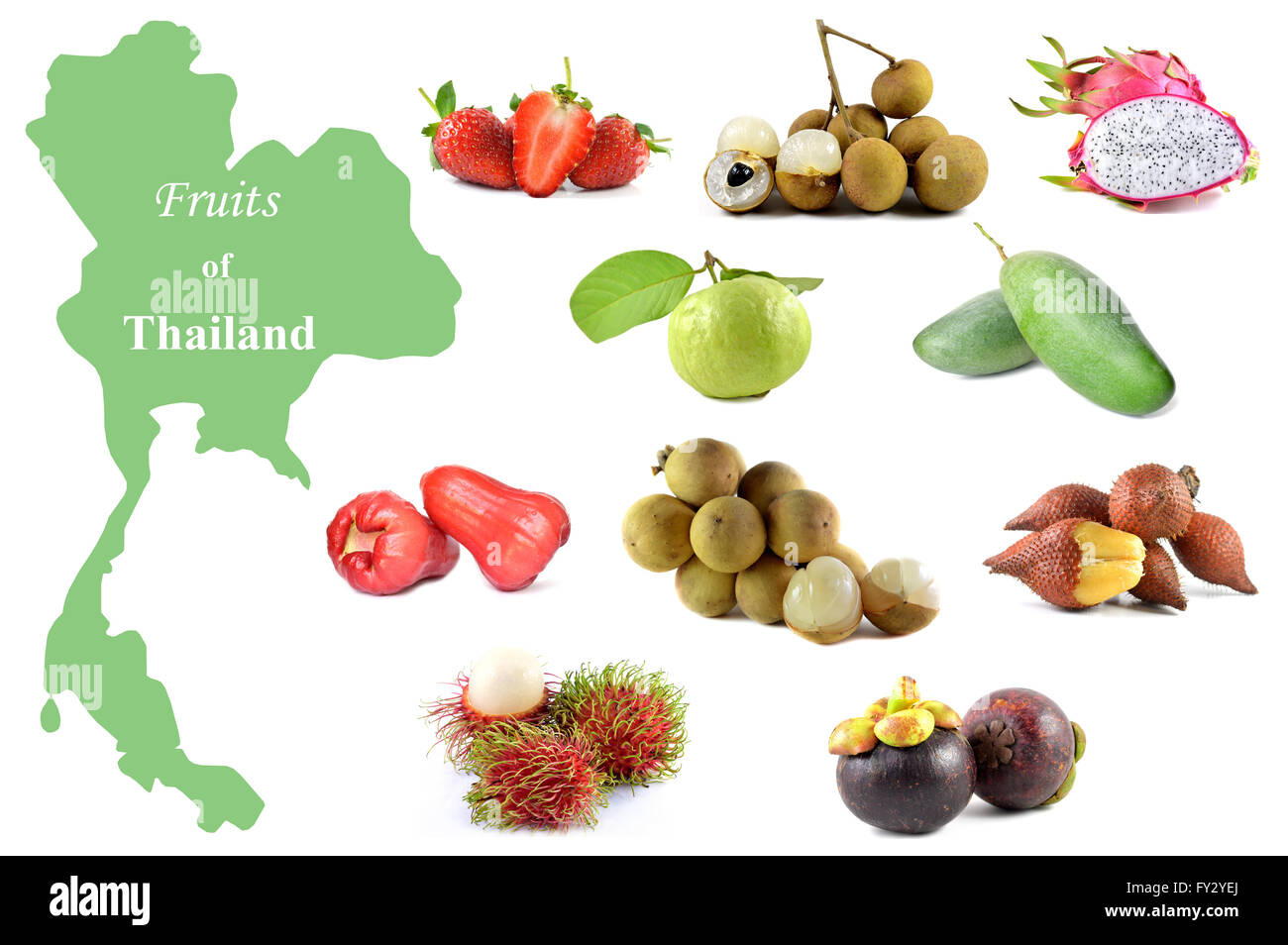 Fruits of thailand Banque de photographies et d’images à haute ...