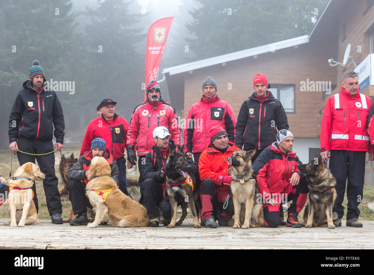Groupe de sauvetage des animaux Banque de photographies et d’images à ...