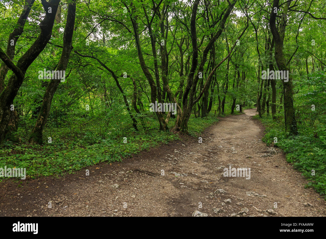 Nature et environnement Banque de photographies et d’images à haute ...