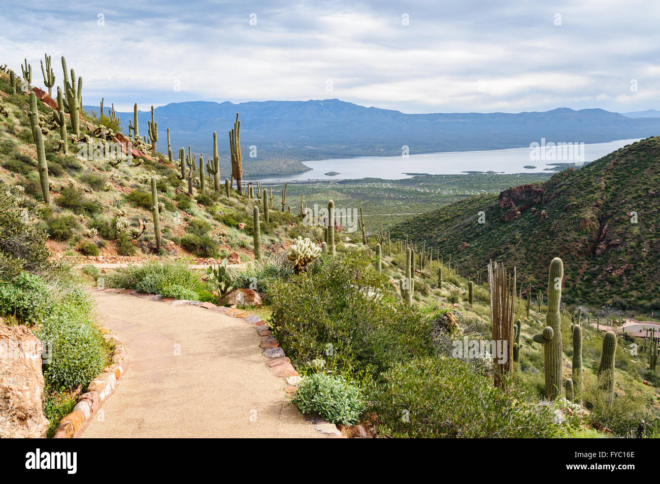 Tonto national Banque de photographies et d’images à haute résolution ...