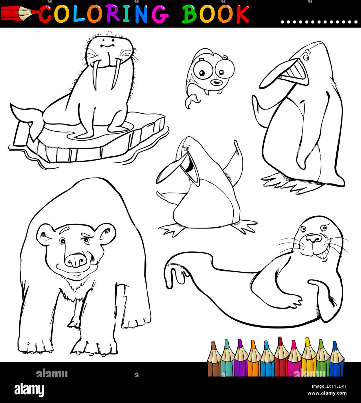 Animaux polaires coloriage Banque de photographies et d’images à haute ...