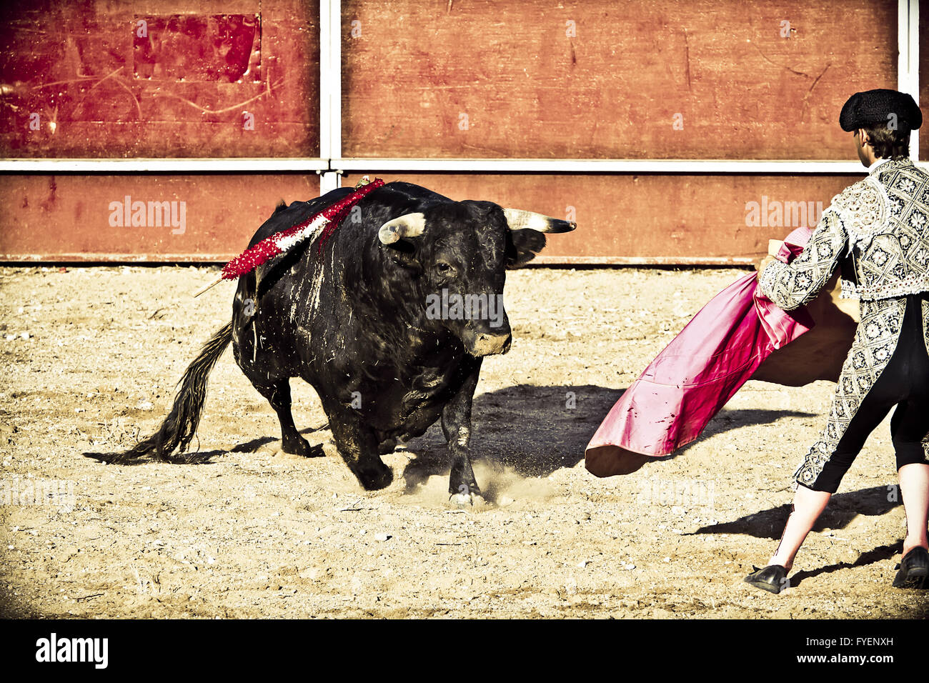 Espagne tauromachie espagnole tauromachie matador cheval chevaux Banque ...