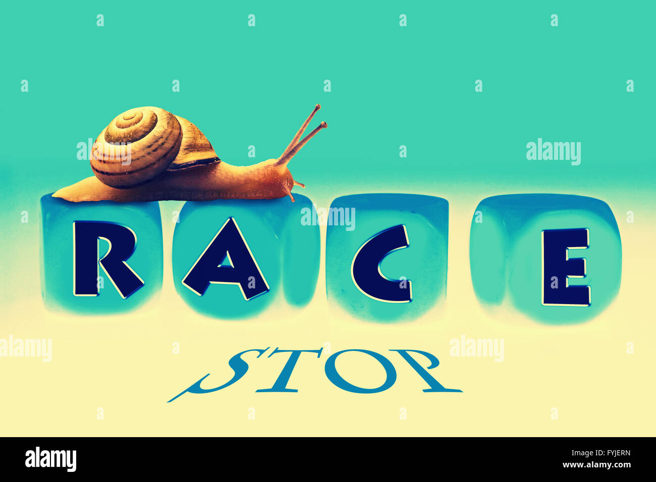 Snails race Banque de photographies et d’images à haute résolution - Alamy