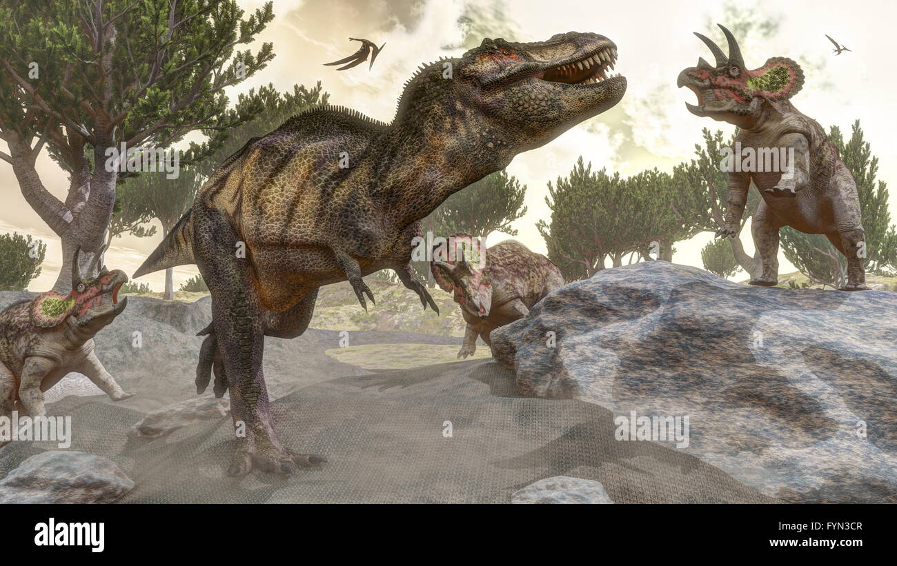 Tyrannosaurus rex eating triceratops Banque de photographies et d’images à haute résolution - Alamy
