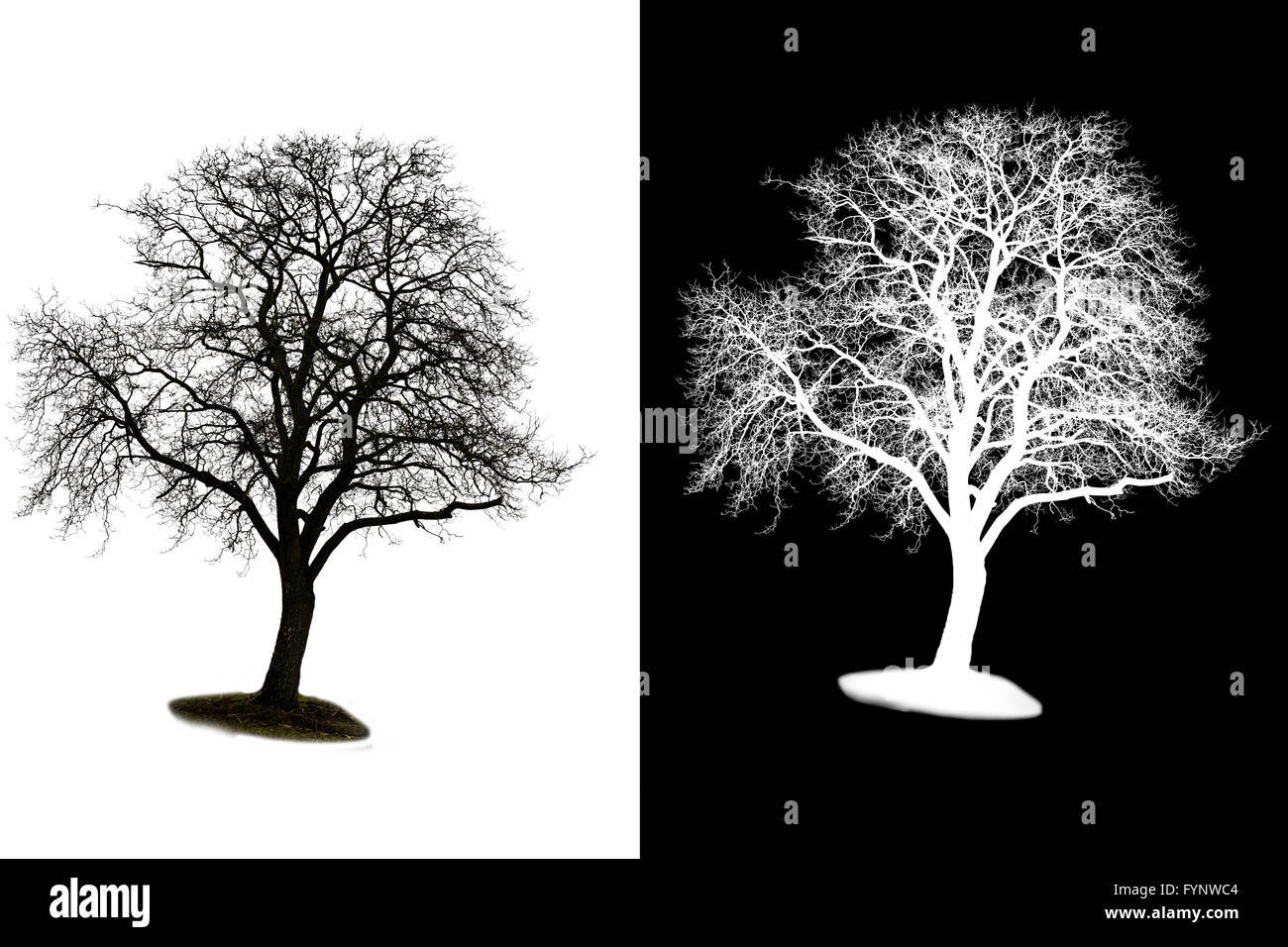 Masque Alpha Banque d'image et photos - Alamy