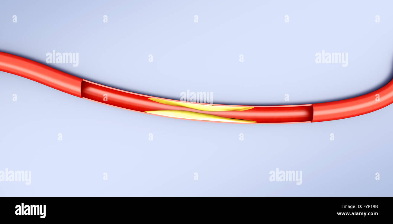 Anato humain Banque de photographies et d’images à haute résolution - Alamy