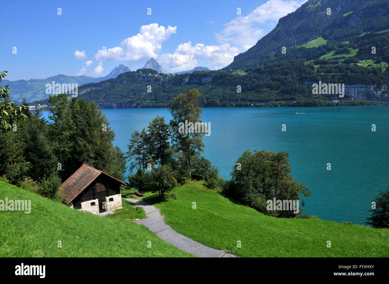 Lac urnersee Banque de photographies et d’images à haute résolution - Alamy