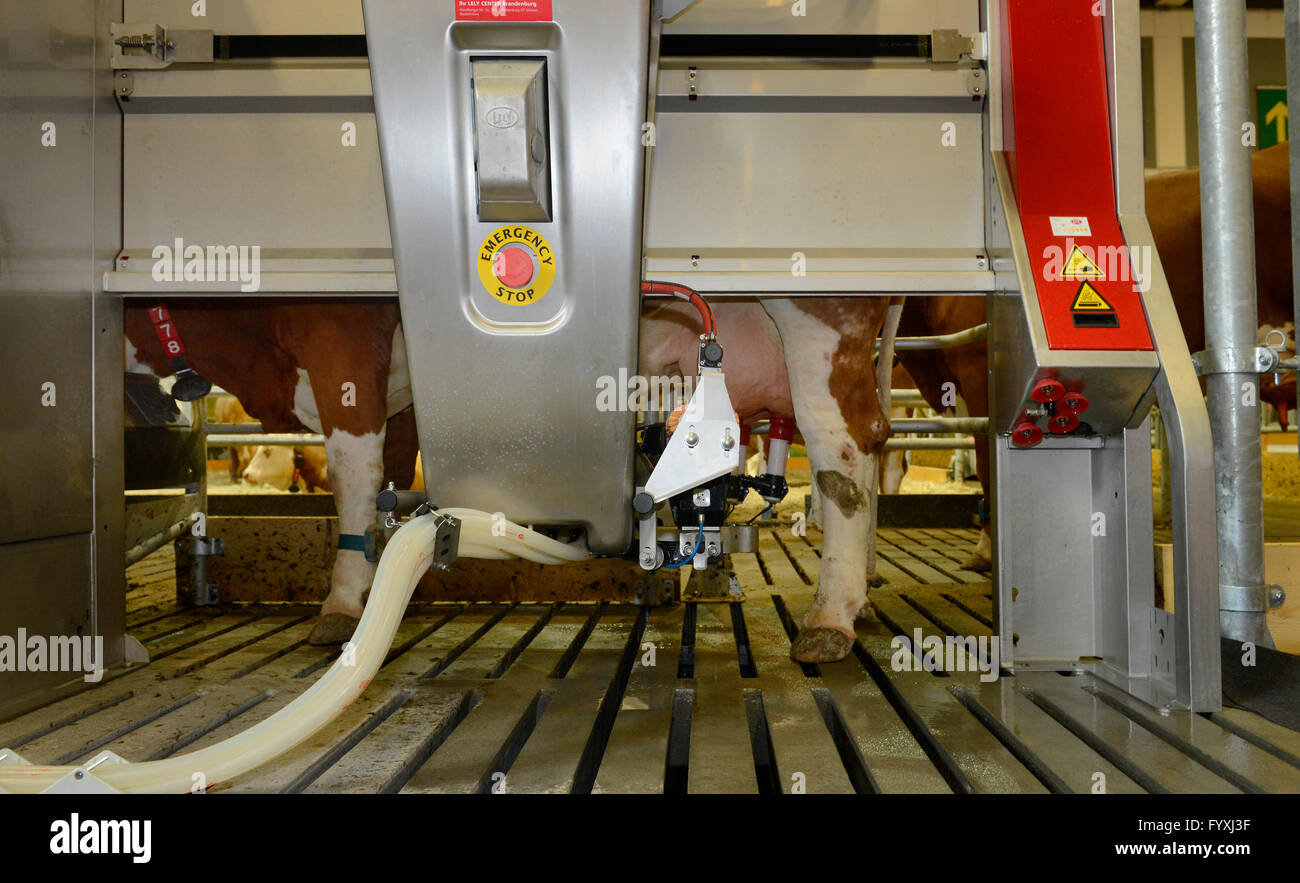 Robot de traite lely Banque de photographies et d’images à haute résolution - Alamy