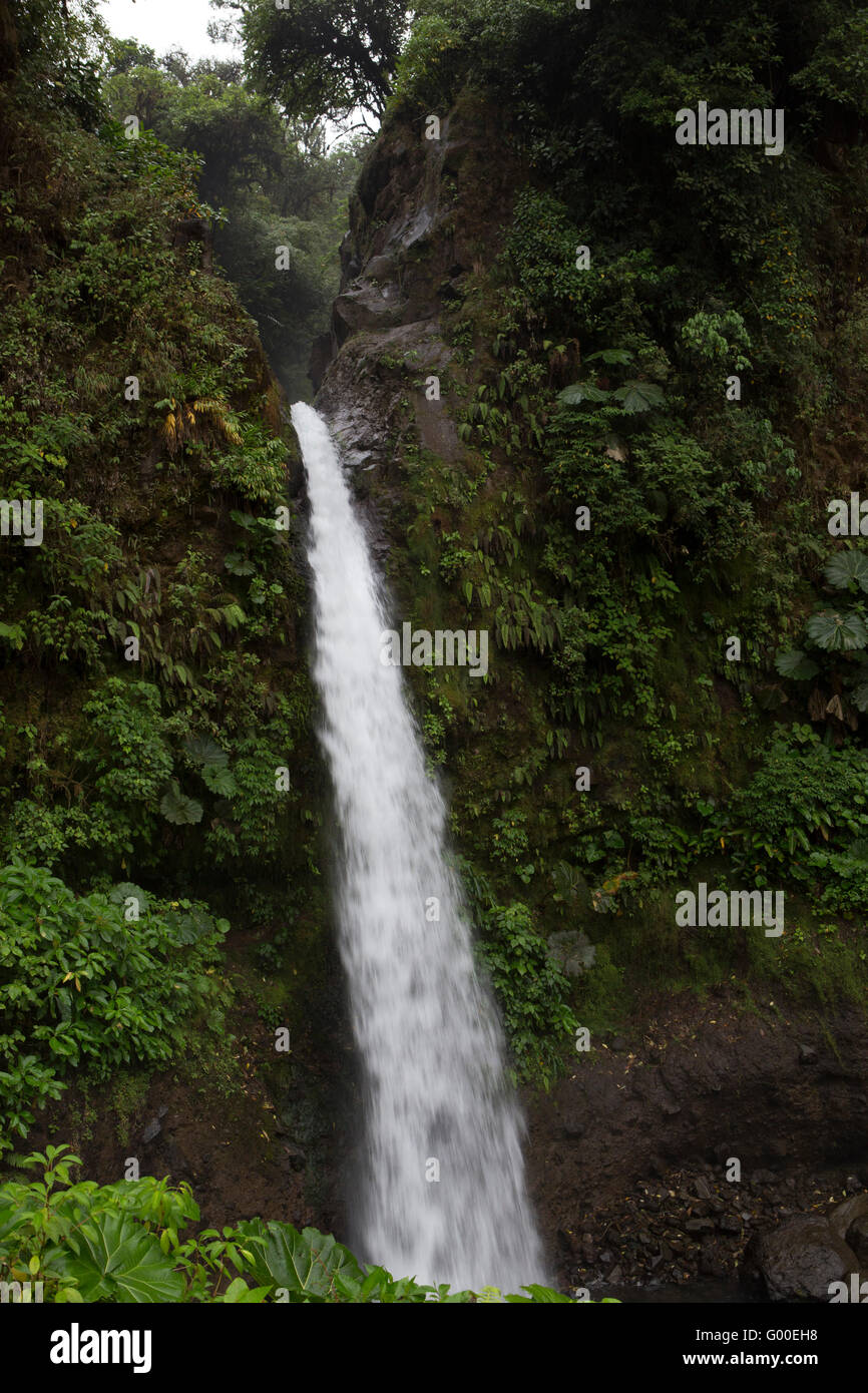 Une cascade jaillit dans la cordillère de montagnes centrale du Costa ...