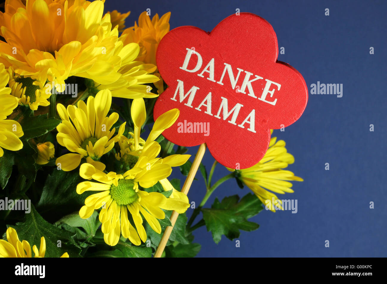 Danke mama Banque de photographies et d’images à haute résolution - Alamy