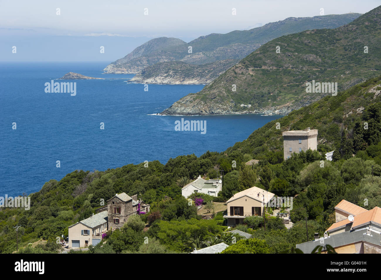 Ta pinu Banque de photographies et d’images à haute résolution - Alamy