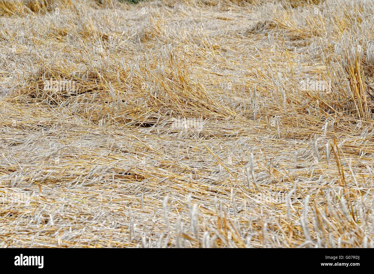 Prosterné sur le sol Banque de photographies et d’images à haute ...