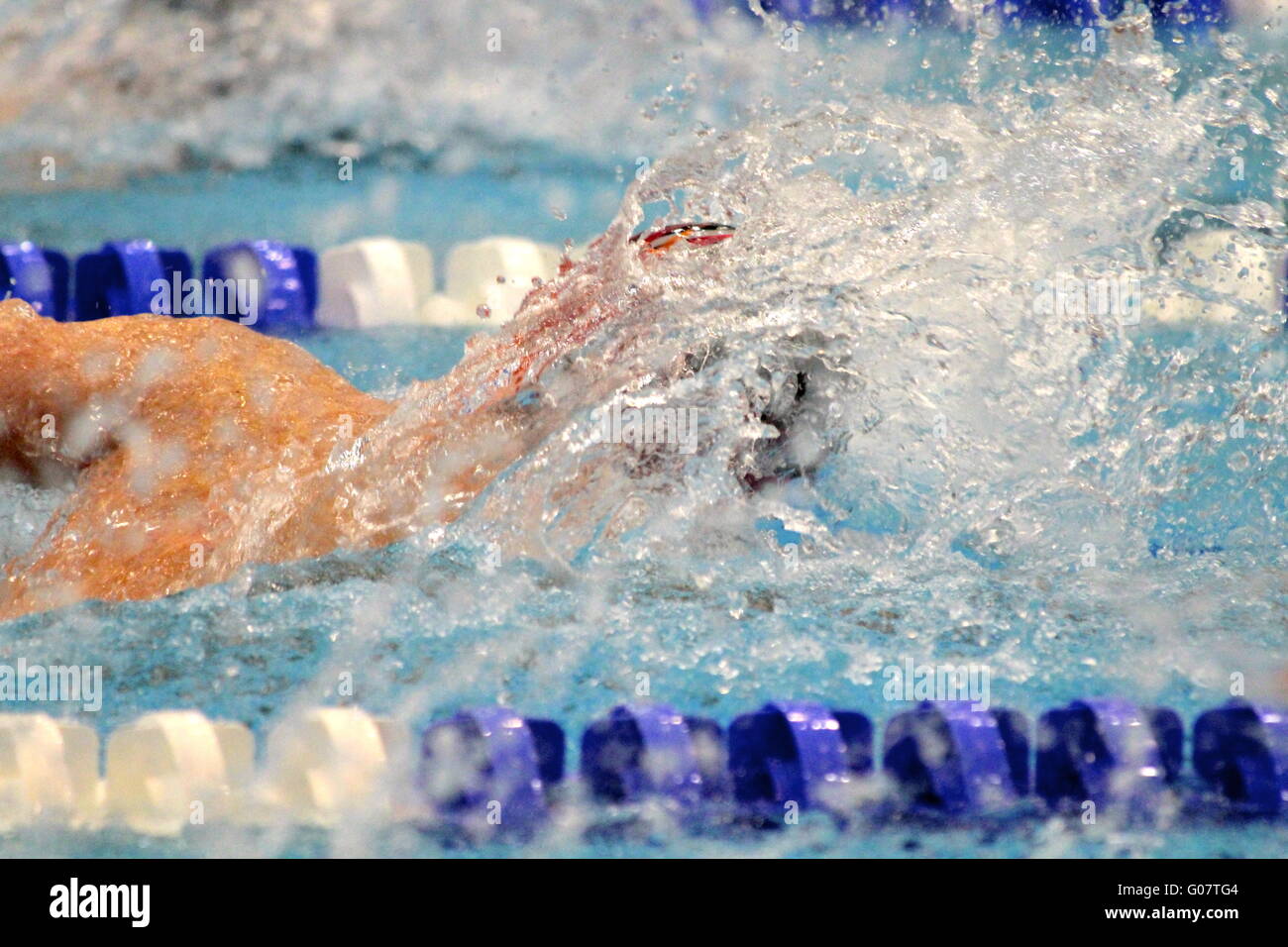 Competitive swimmer Banque de photographies et d’images à haute ...
