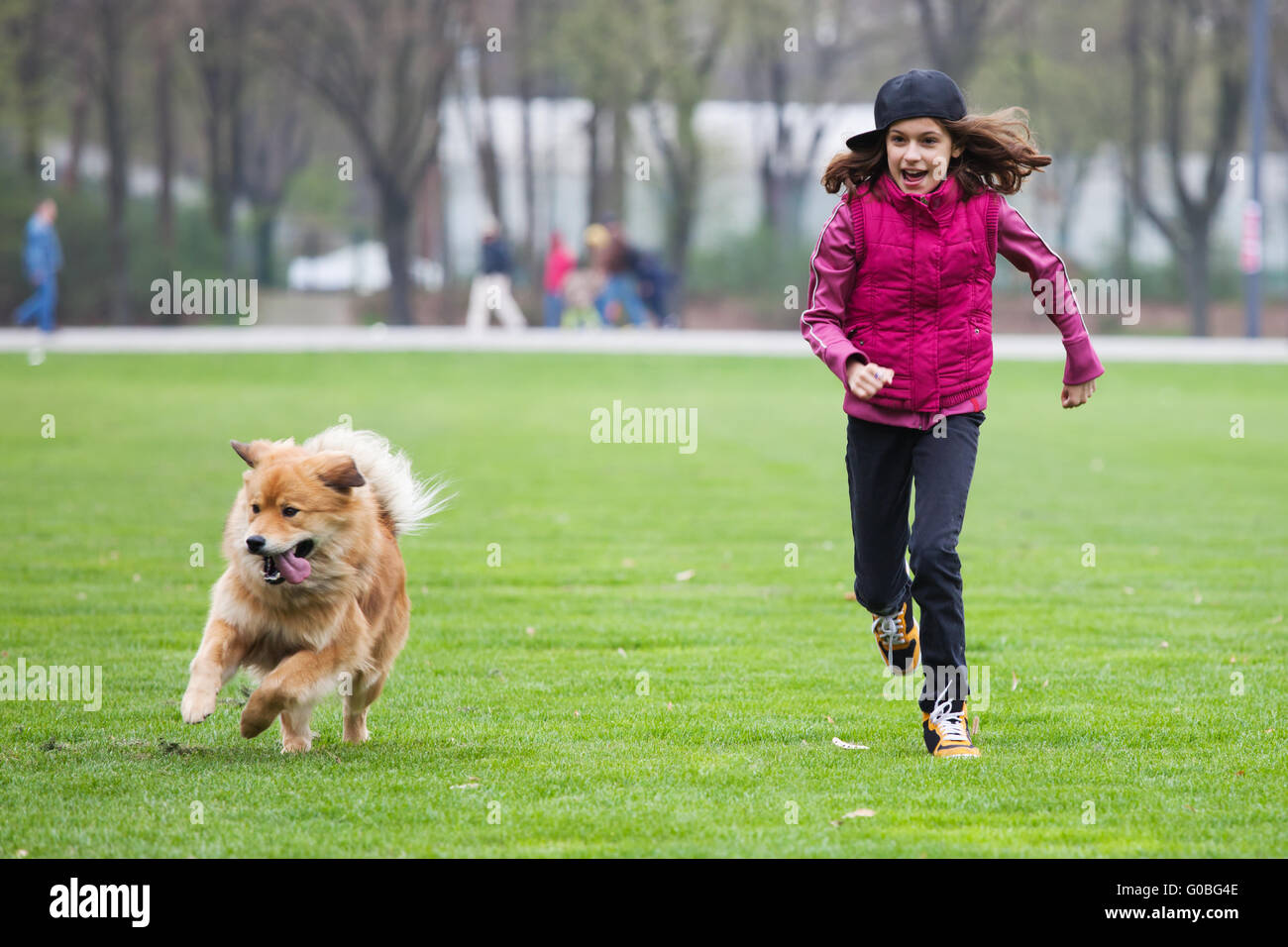Chien elo Banque de photographies et d’images à haute résolution - Alamy