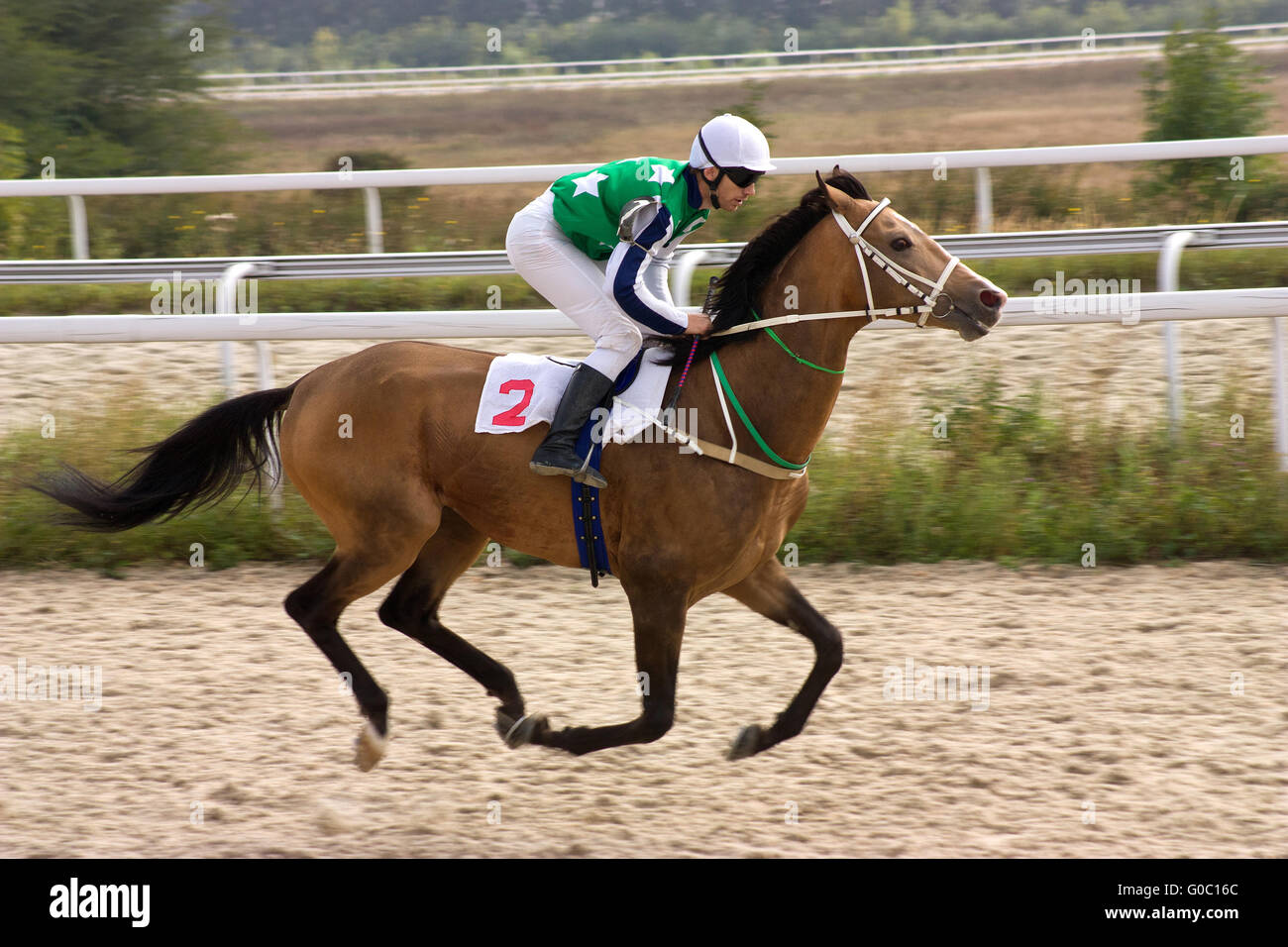 Cheval jockey animal Banque de photographies et d’images à haute ...