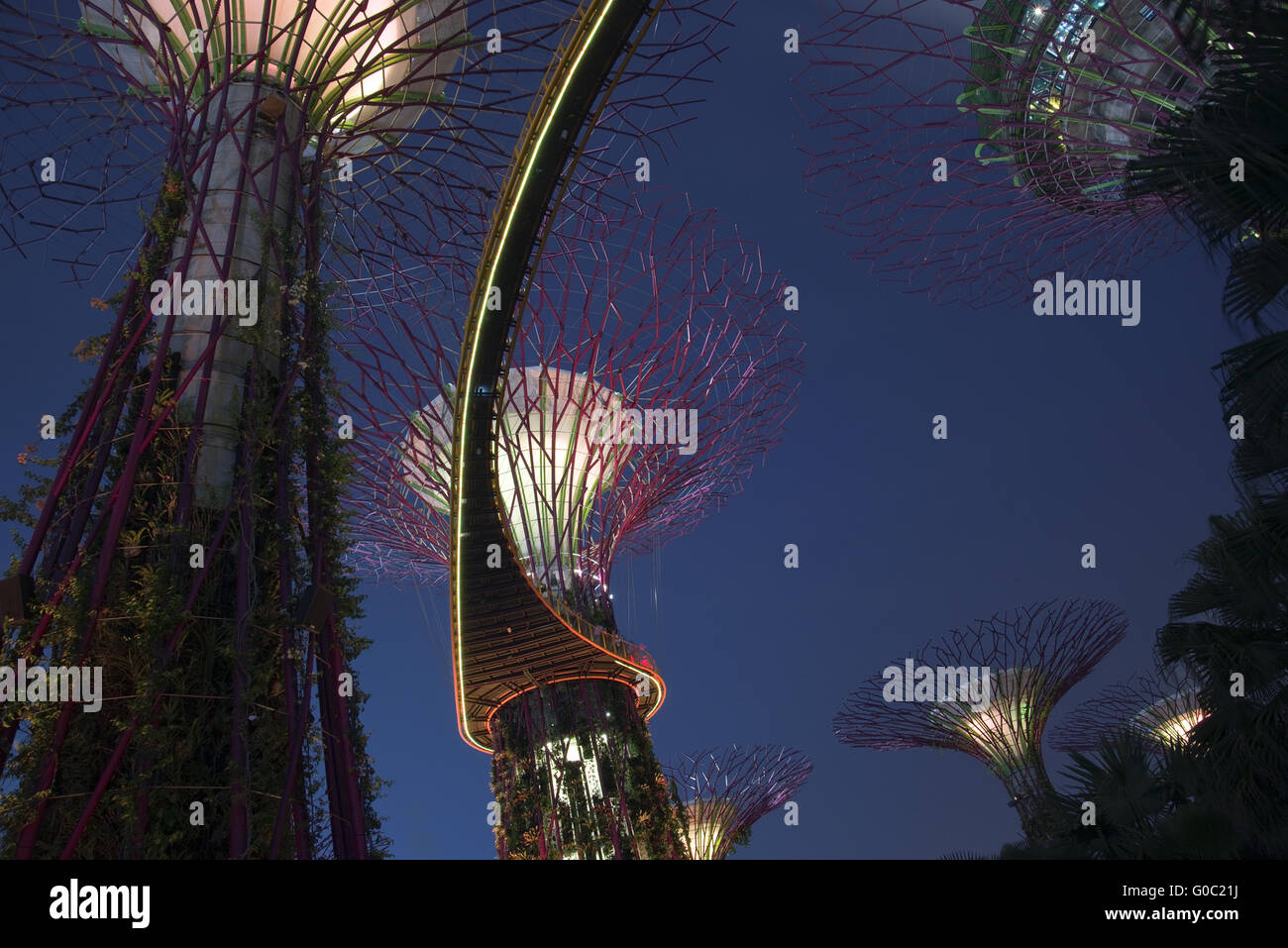 Reflexion zeigen Banque de photographies et d’images à haute résolution ...