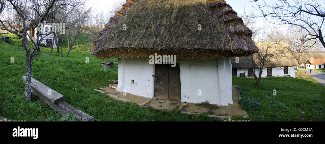 Grape protection Banque de photographies et d’images à haute résolution ...
