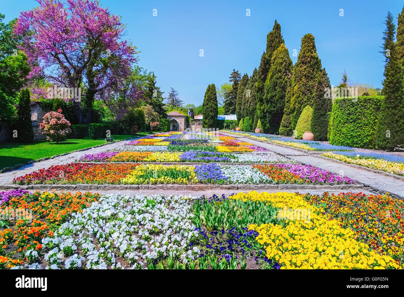 Toutes sortes de fleurs Banque de photographies et d’images à haute ...