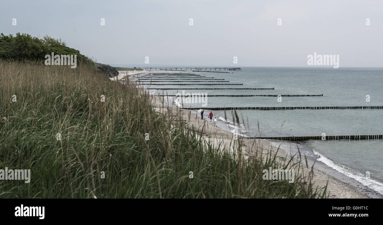 Les plages baltiques Banque de photographies et d’images à haute ...