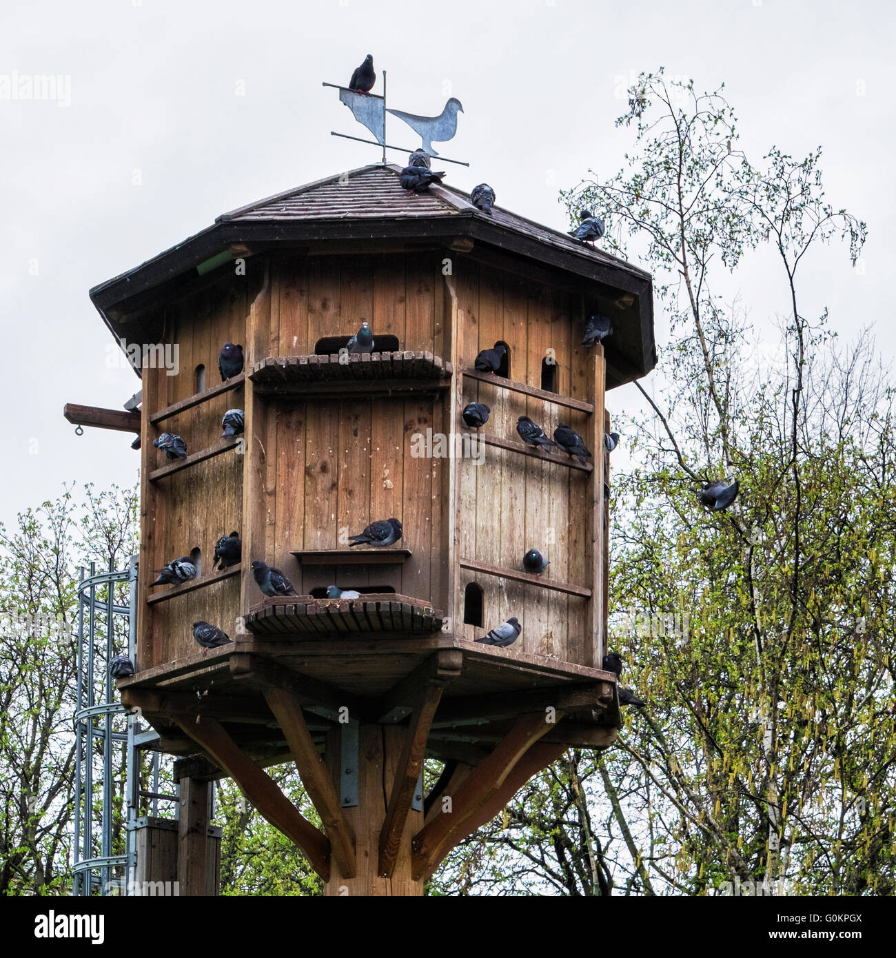 Stuttgart Stadtgarten, Garden City, le nichoir d'oiseaux en bois et de ...