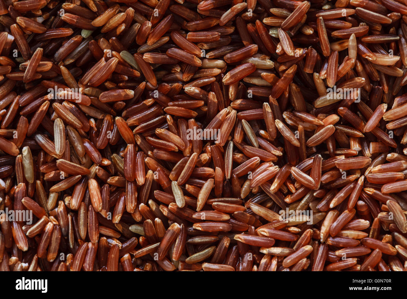 Riz sauvage rouge Banque de photographies et d’images à haute ...