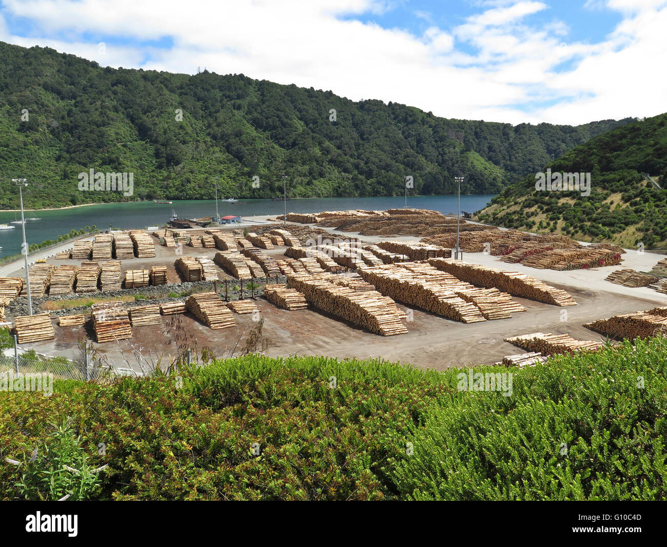 Waimahara wharf Banque de photographies et d’images à haute résolution ...