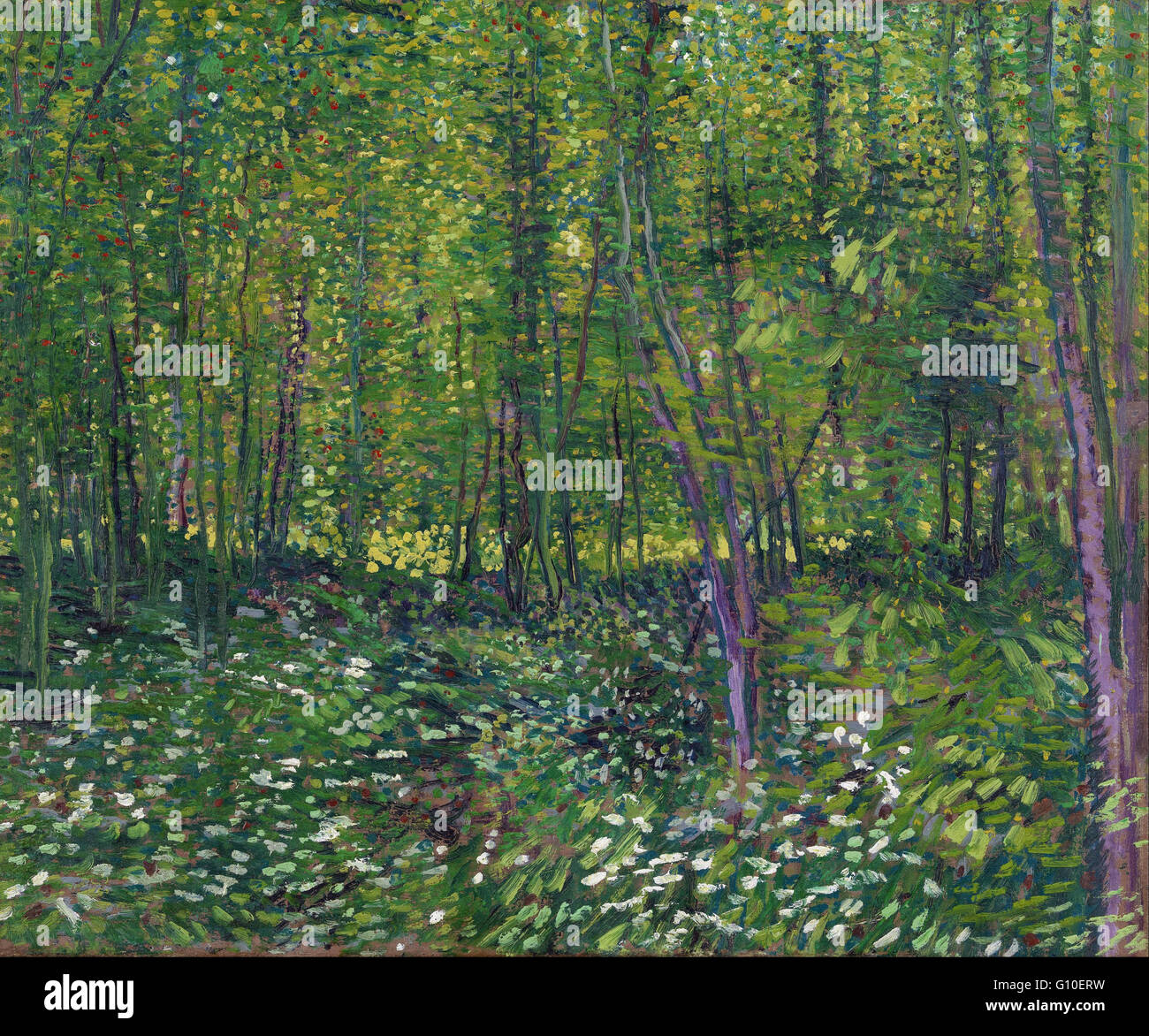 Vincent van gogh trees van Banque de photographies et d’images à haute ...