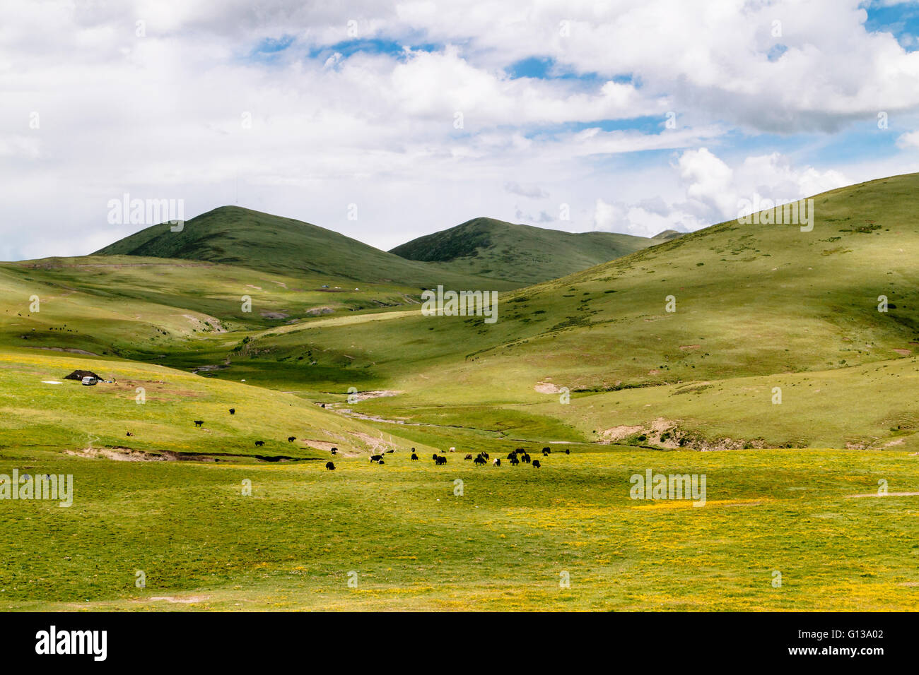 La Préfecture de Ganzi, dans la province du Sichuan, Chine - beau ...