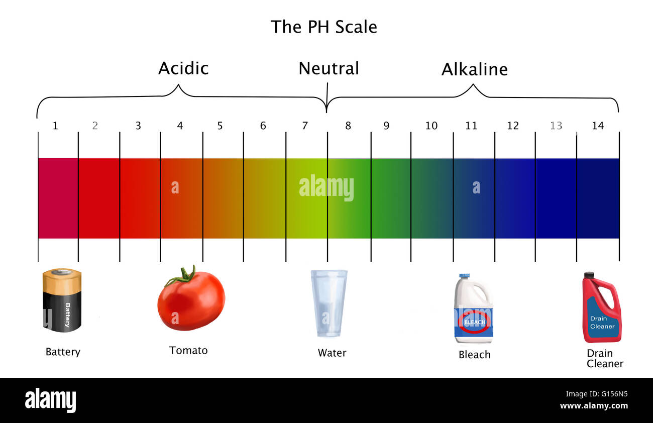 Diagramme de l'échelle de pH avec des exemples d'acides, neutres et ...