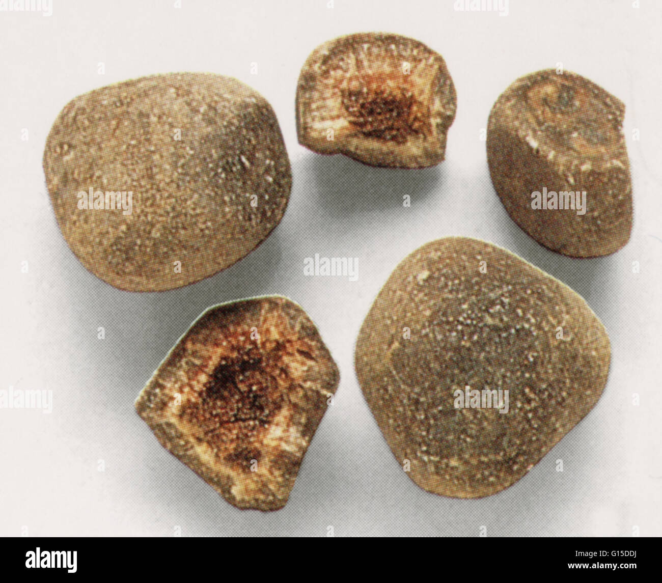 Estomacs de mouton Banque de photographies et d’images à haute ...