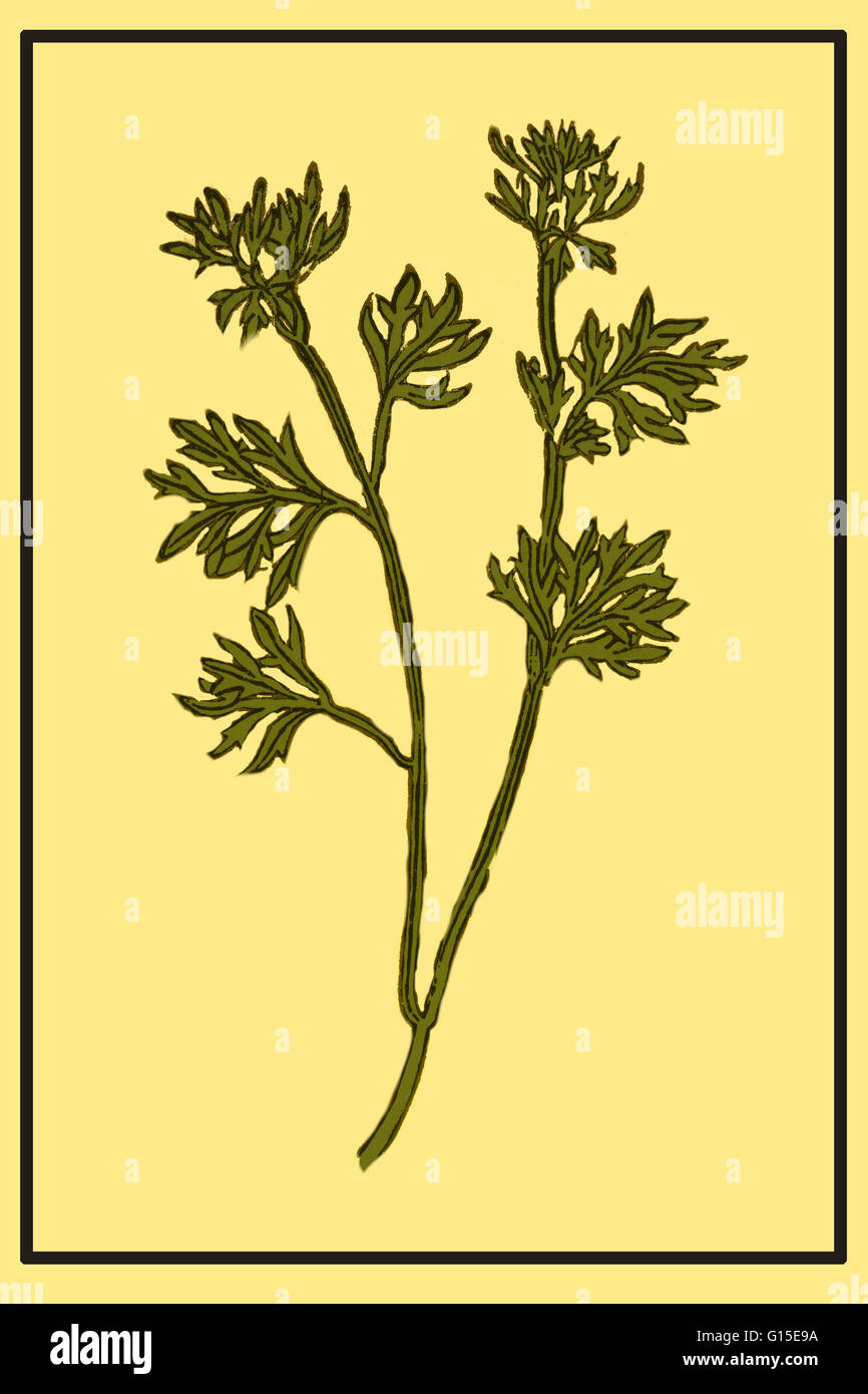 Alchimie du nord Banque de photographies et d’images à haute résolution ...