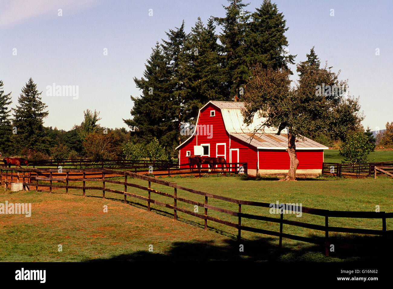 Grange rouge sur Fraser Valley Farm, Langley, BC, en Colombie ...