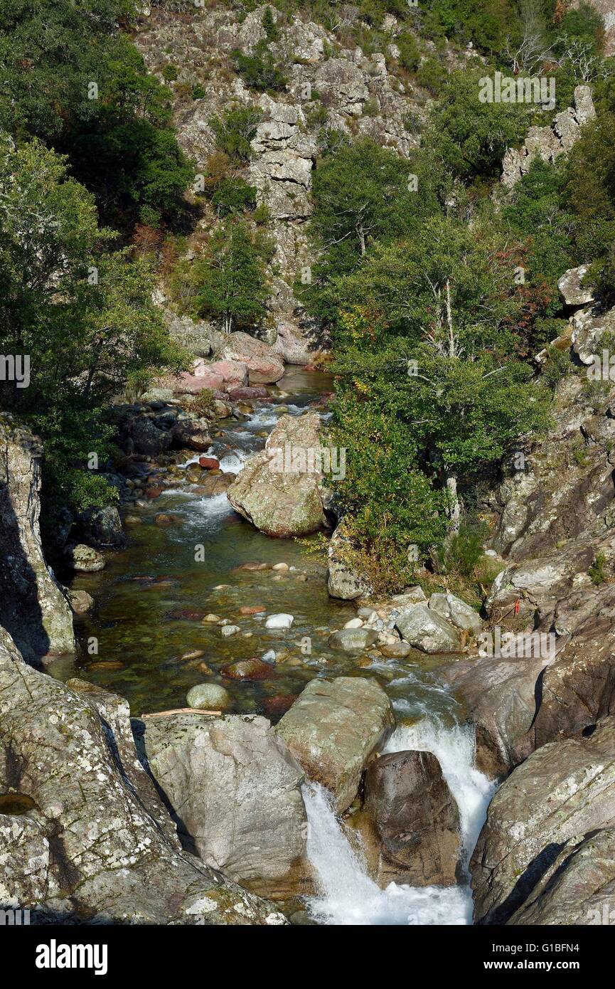 Gorges de prunelli Banque de photographies et d’images à haute ...