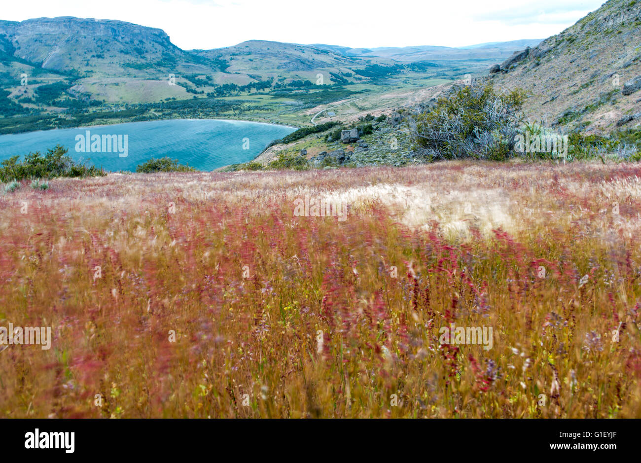 Mirador dorotea Banque de photographies et d’images à haute résolution ...