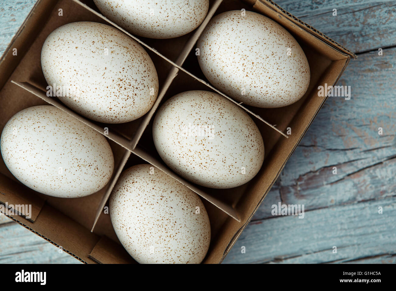 Six Oeufs de canard en boîte en carton carré Photo Stock - Alamy