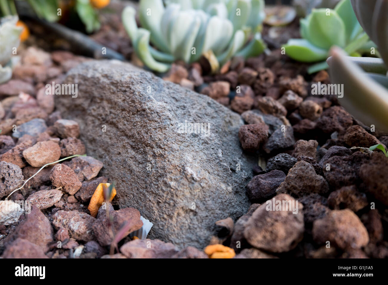 Gros rocher Banque de photographies et d’images à haute résolution - Alamy