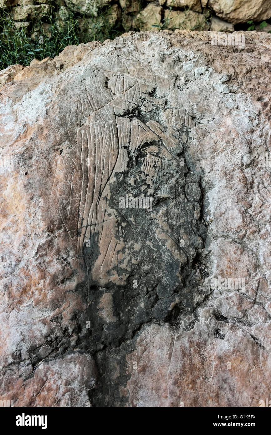 La plus ancienne de l'art de l'abri de Badanj Photo Stock - Alamy