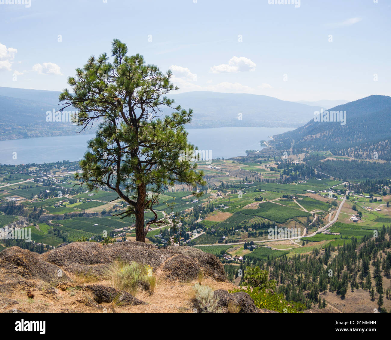 Tête de géant Banque de photographies et d’images à haute résolution ...