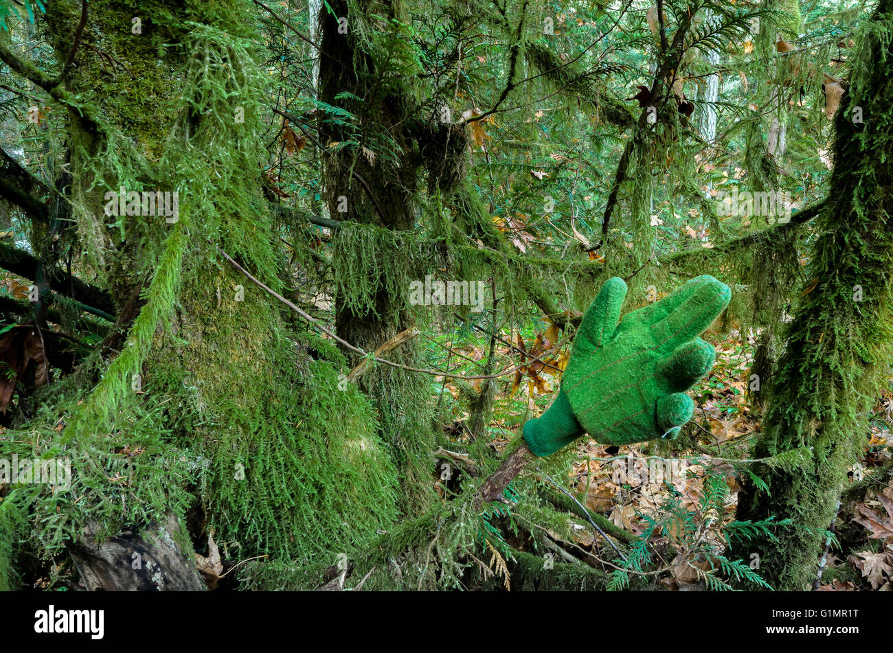 Pouce vert Banque de photographies et d’images à haute résolution - Alamy