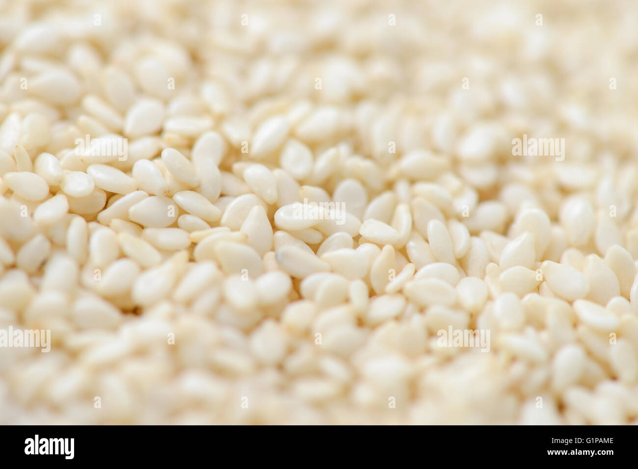 Sesame plant Banque de photographies et d’images à haute résolution - Alamy