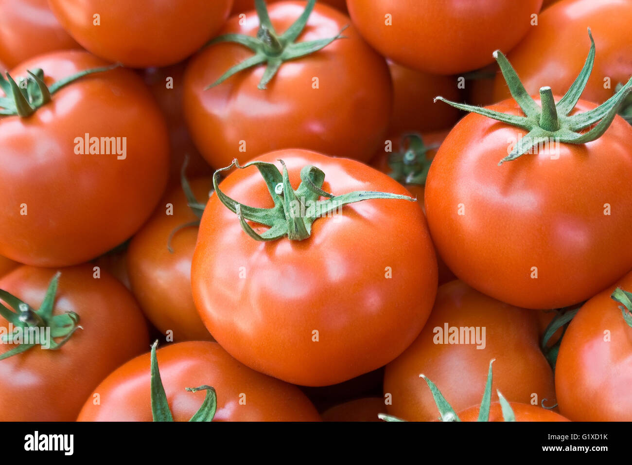 Papier peint tomate Banque de photographies et d’images à haute ...