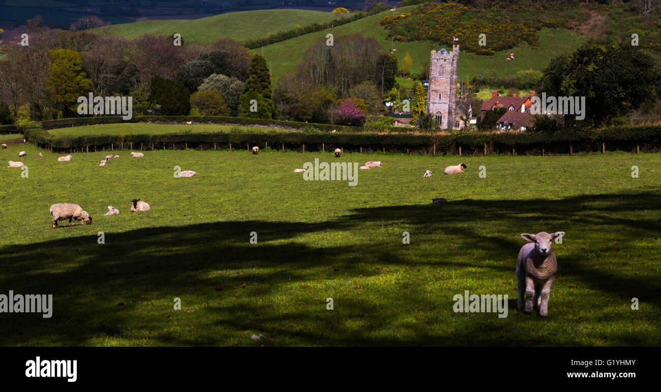 Village luccombe Banque de photographies et d’images à haute résolution ...