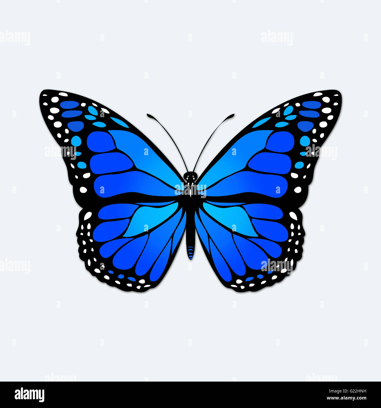 Papillon Bleu design Photo Stock - Alamy