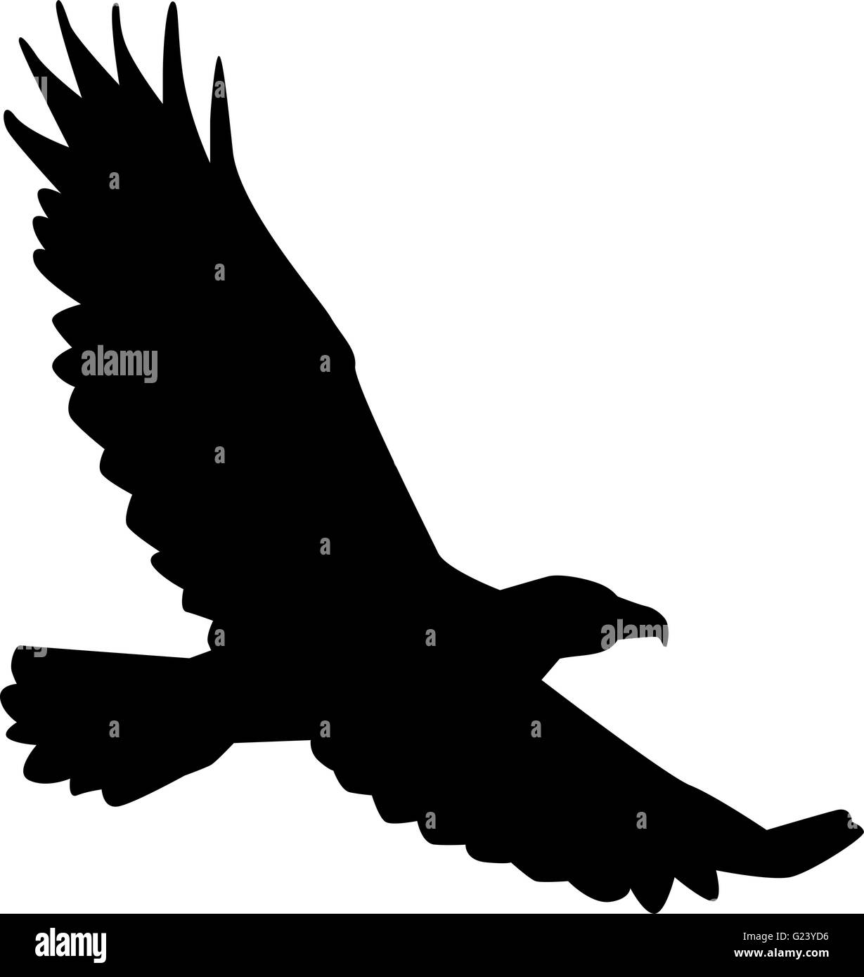 Pictogramme aigle silhouette Banque d'images vectorielles - Alamy