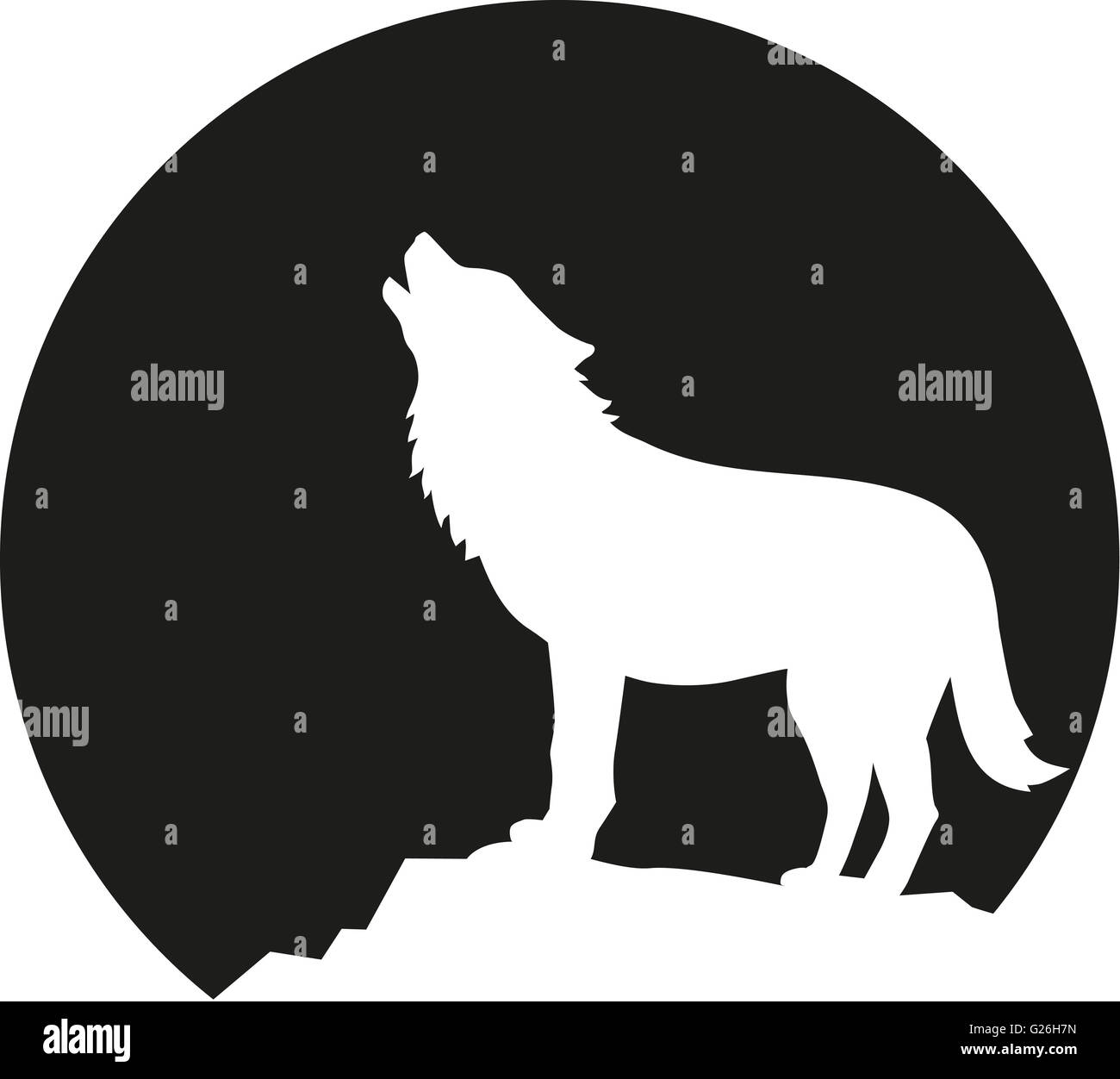 Loup qui hurle Banque de photographies et d’images à haute résolution ...