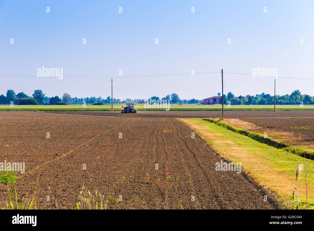 Sur fertilisation Banque de photographies et d’images à haute ...