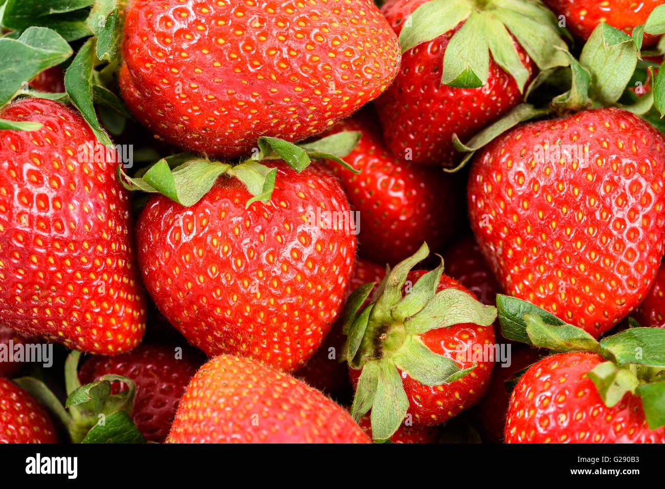Fraises rouges Banque de photographies et d’images à haute résolution ...