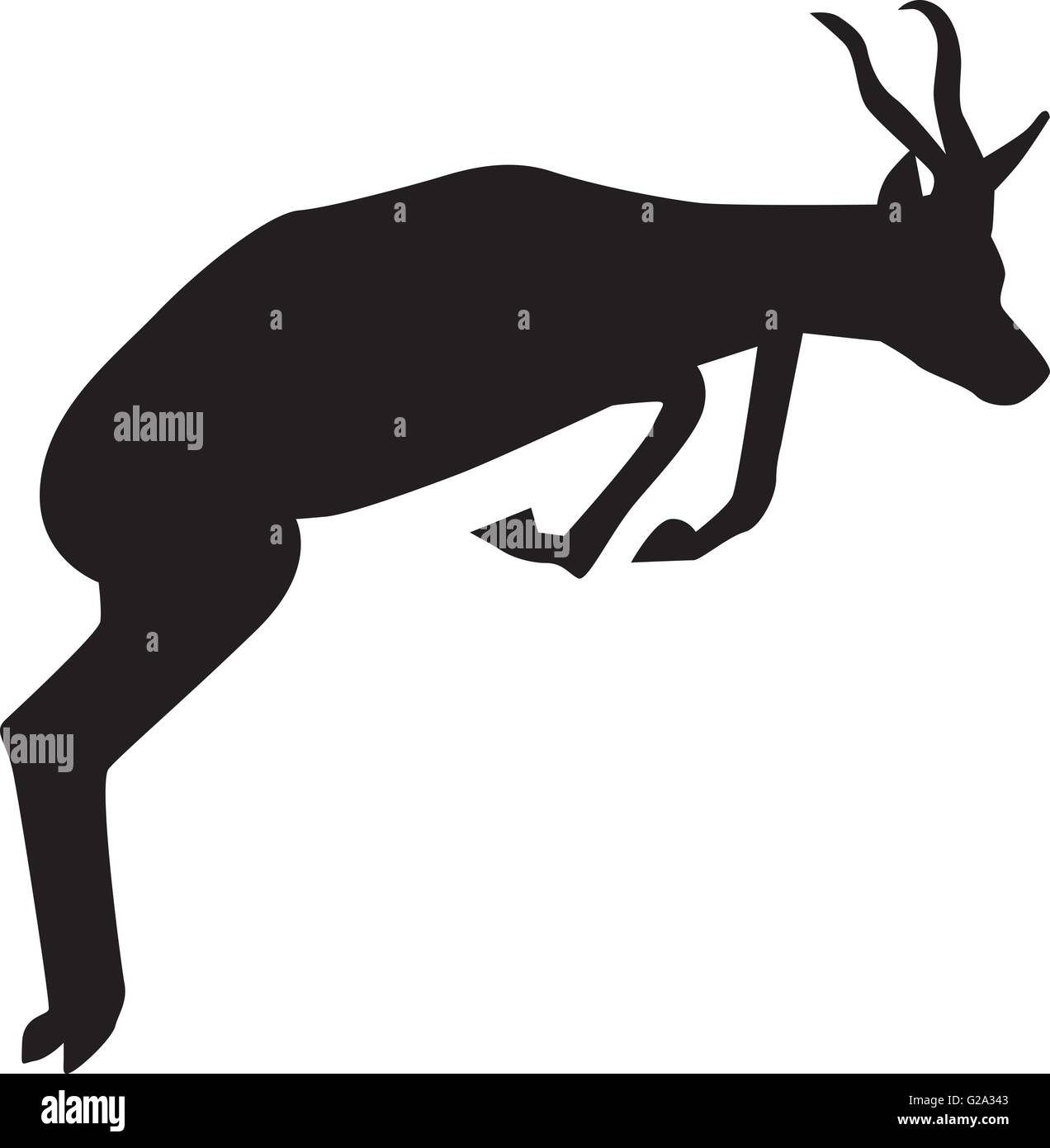 Springbok vector vectors Banque de photographies et d’images à haute ...