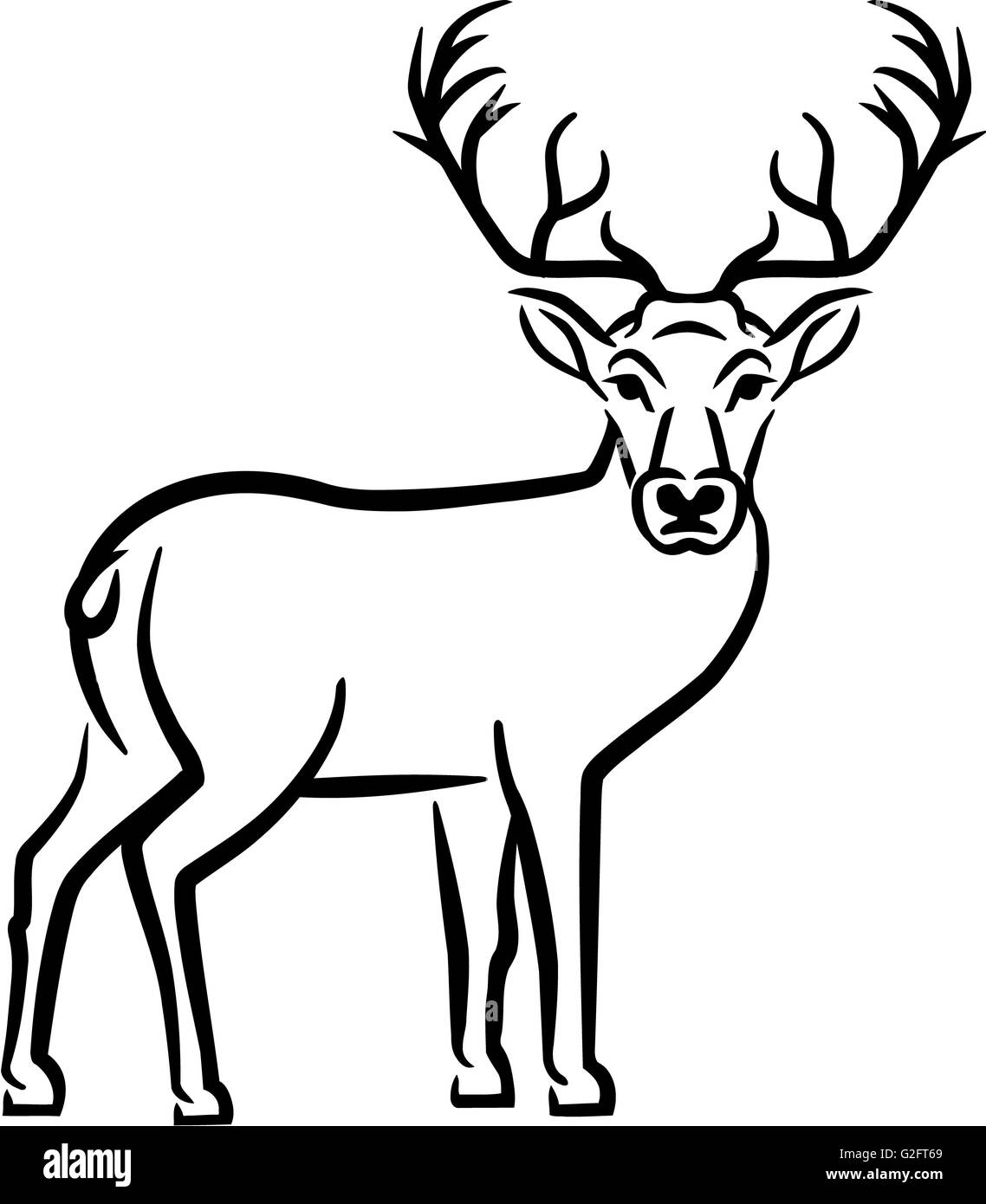 Cerf graphique Banque d'images noir et blanc - Page 2 - Alamy