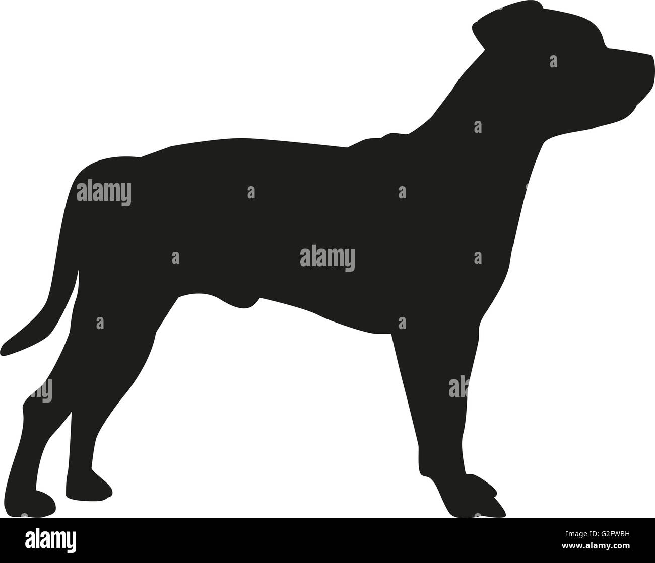 Staffie logo Banque de photographies et d’images à haute résolution - Alamy
